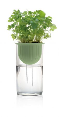 Kiepenkerl Profi-Line Sprossenbox , Set - OraGarden.de